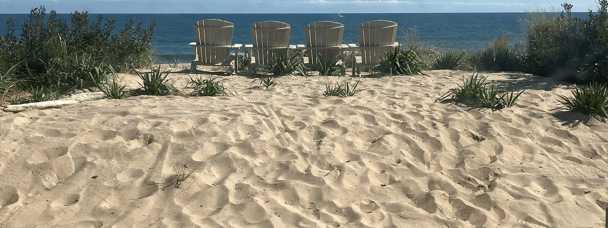 beach tptp – The Pear Tree Project